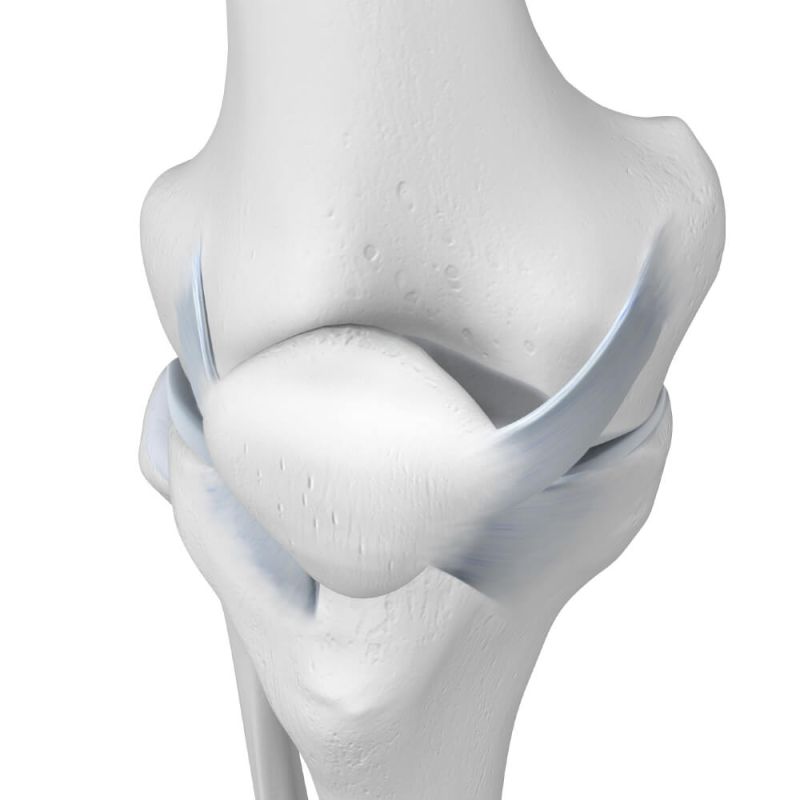 Causes & Treatment of Patellar Tracking Disorders | Bauerfeind